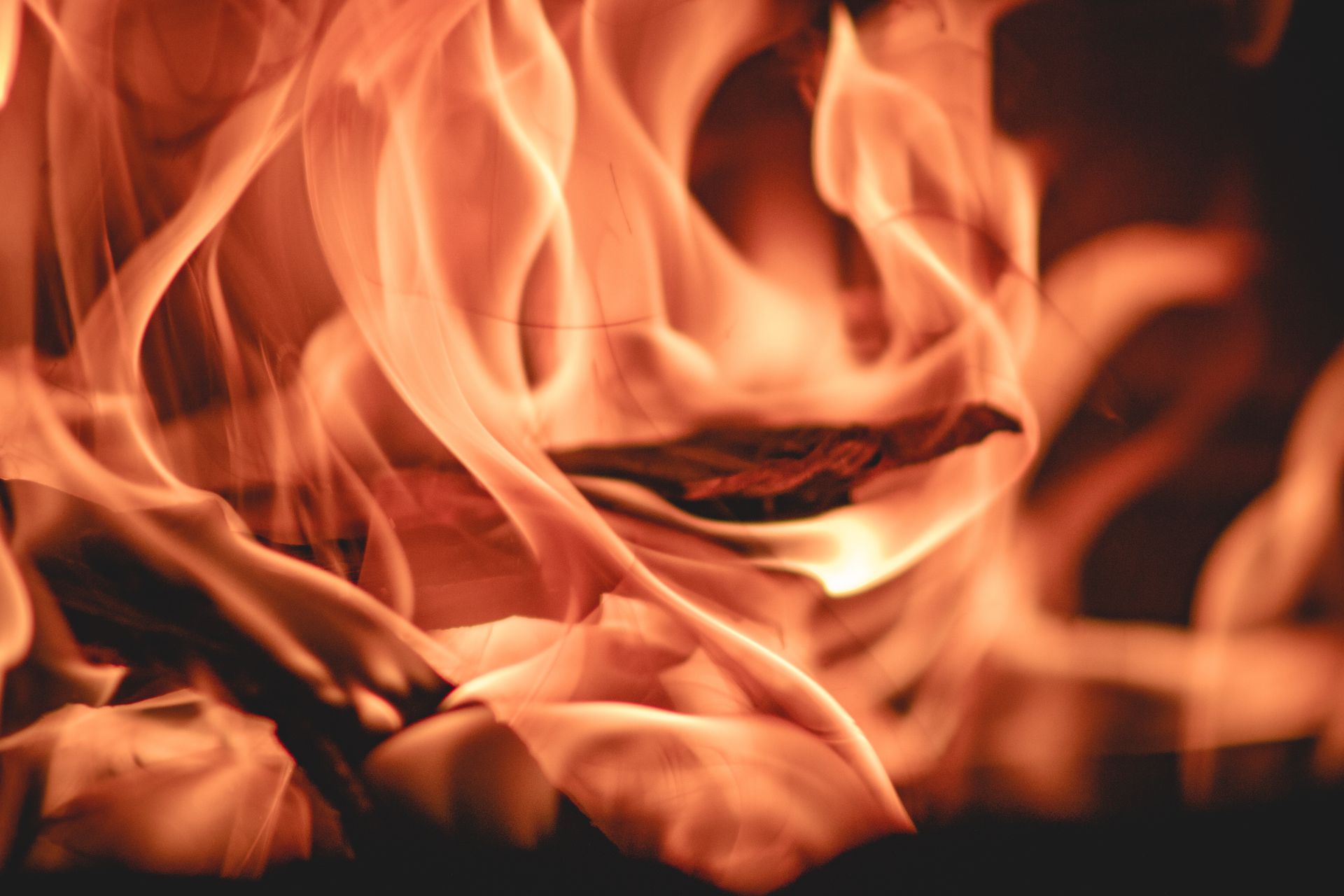 La petite brûleuse de calories